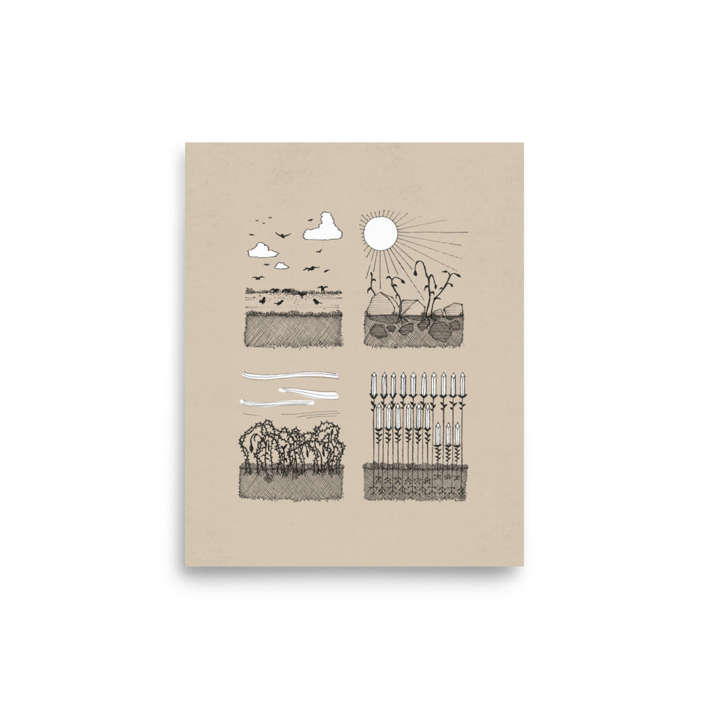 Parable of the Sower & Four Soils - Poster – BibleSketches